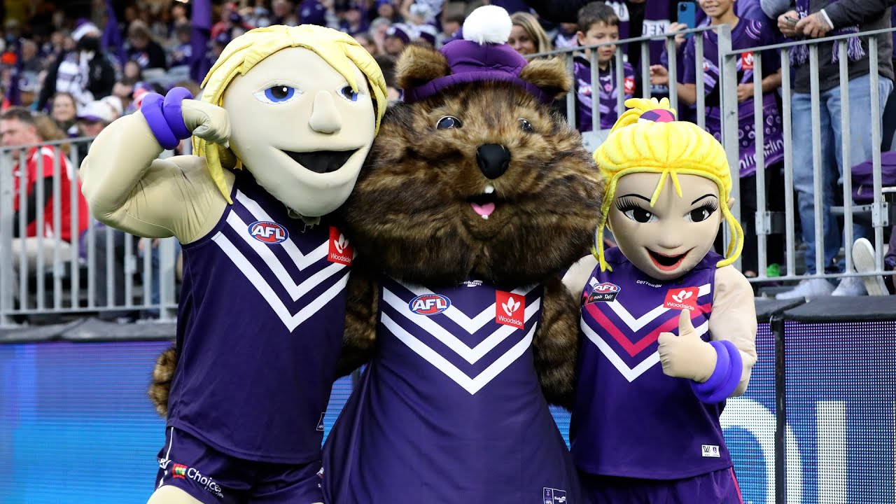 Dokka's First Day - YouTube