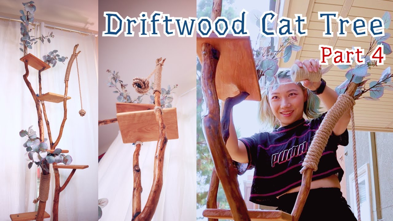 Making Driftwood Cat Tree for Kitten // Part 4- Assemble & Decorate ...