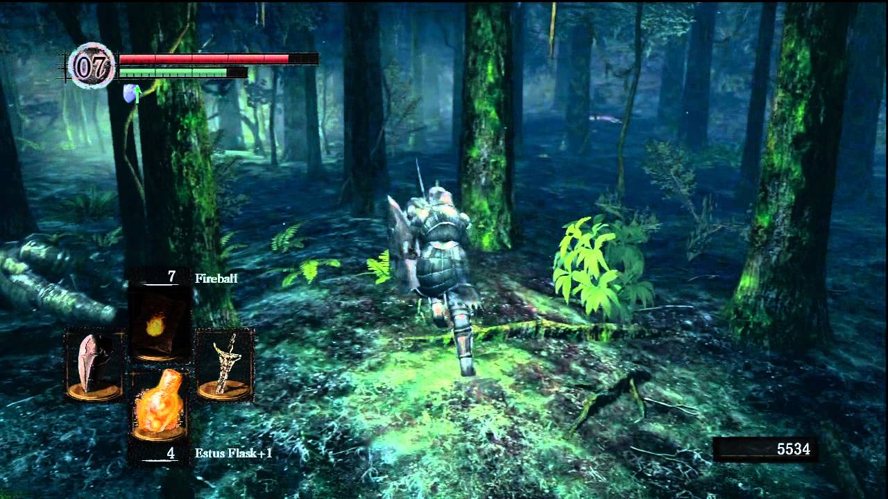 Dark Souls Gameplay Darkroot Garden Uncut HD - YouTube