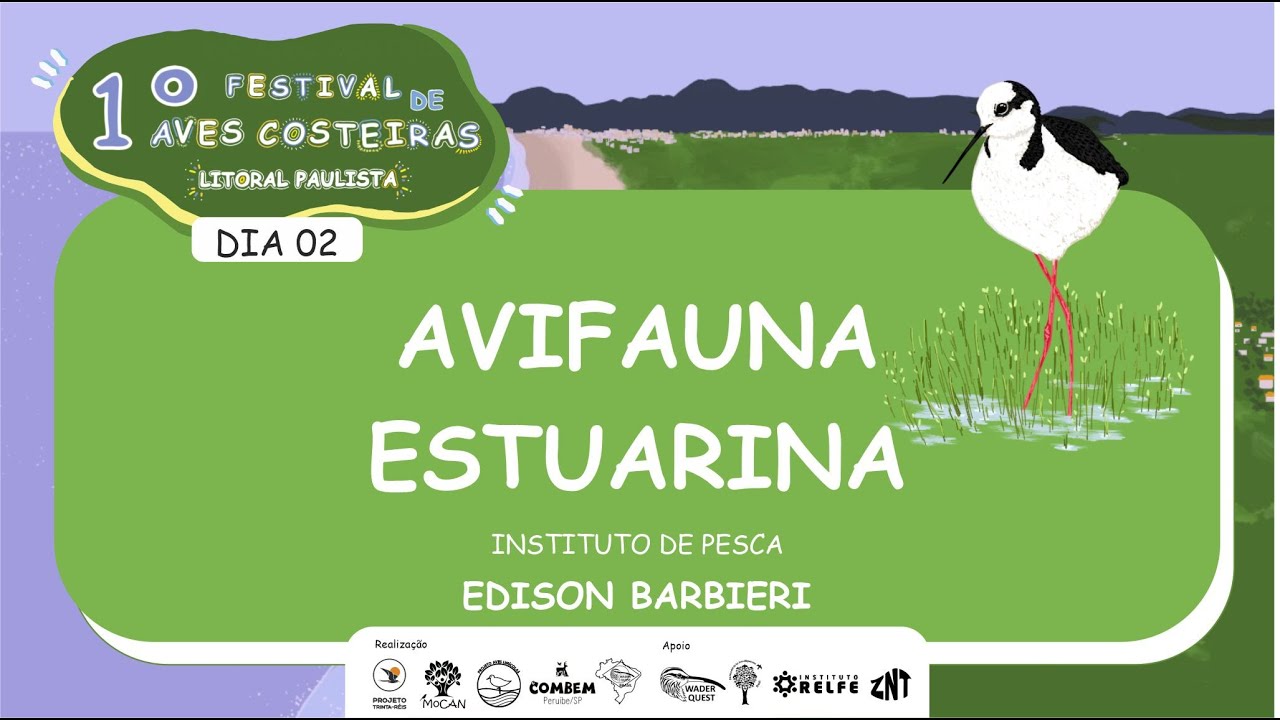 Avifauna estuarina - EDISON BARBIERI - YouTube