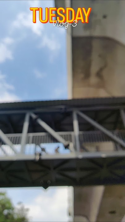 Tuesday #mastimoment #youtubeshorts #dailyvlogchallenge #tuesday #dailyvlog #youtubevideos #day3 ...