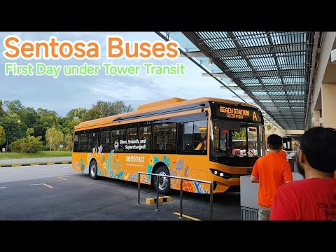 First Day of Operations of Sentosa Buses under Tower Transit - BYD ...