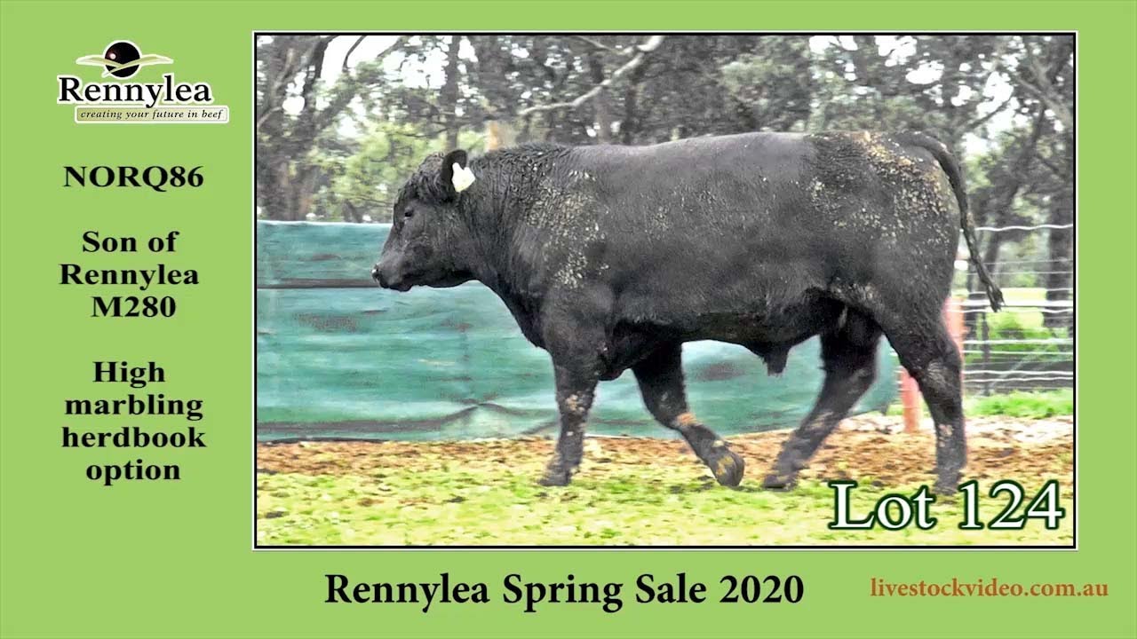 Lot 124 Rennylea Spring 2020 - YouTube