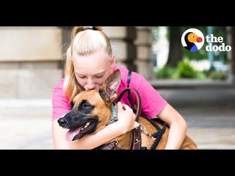 This Dog Stops His Mom's Panic Attacks | The Dodo Soulmates