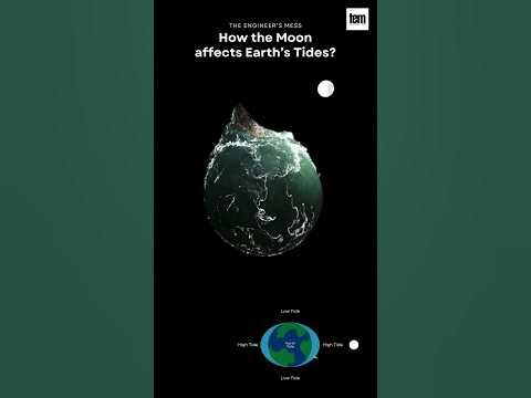How does the Moon affect the Earth's Ocean Tides? 🌊 #moon #earth #ocean ...