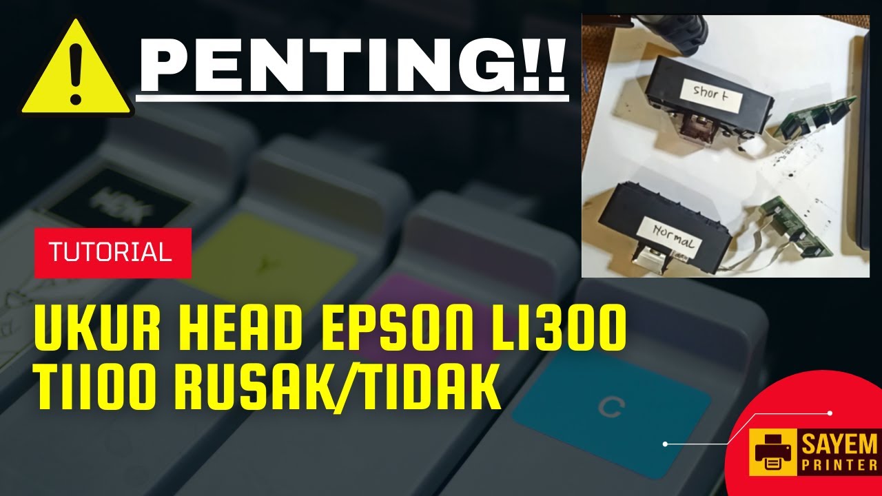 Cek head epson L1300 T1100 rusak atau tidak sebelum pasang mainboard ...