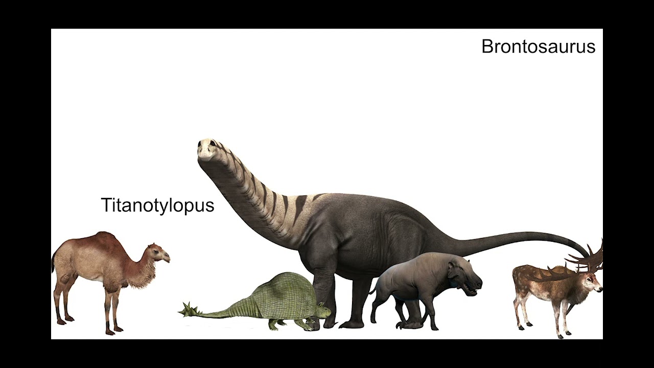 Brontosaurus Vs Prehistoric Creatures Size Comparison - YouTube
