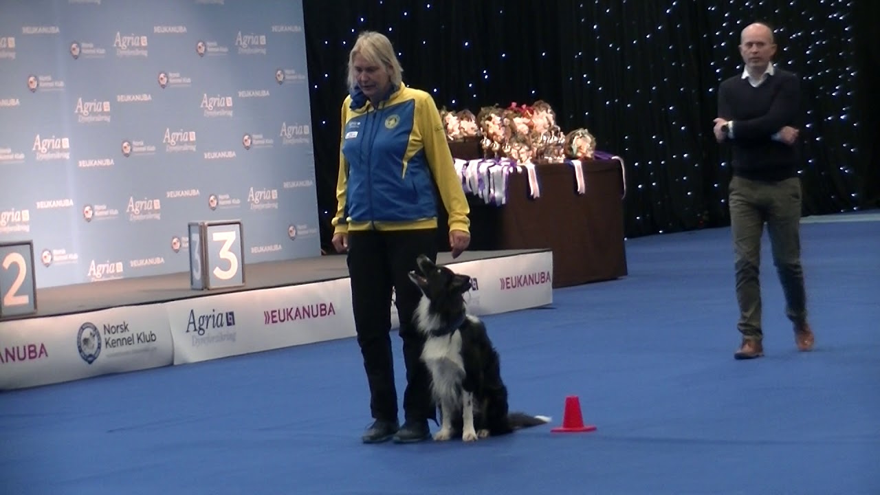 Maria Brandel & Easy Working Aadi NM lydnad 2017 dag 2 - YouTube