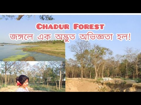 Chandur Forest,Arambagh।জঙ্গলে আমরা কী দেখলাম?Forest Near Kolkata - YouTube