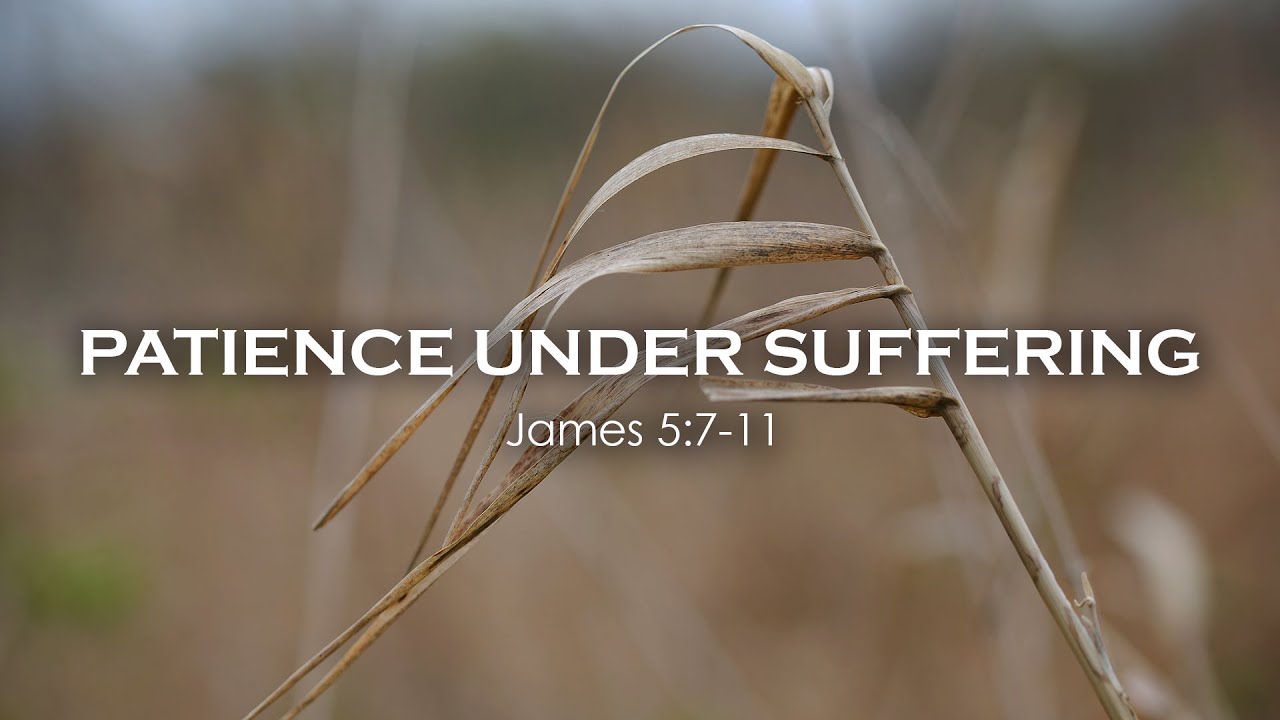 James 5:7-11 - "Patience Under Suffering" - YouTube