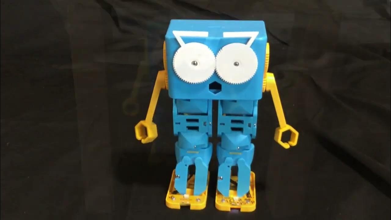 Jessica and Paige introduce Marty the Robot - YouTube