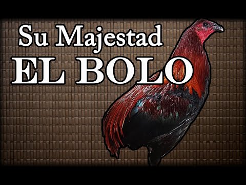 Su Majestad el Bolo