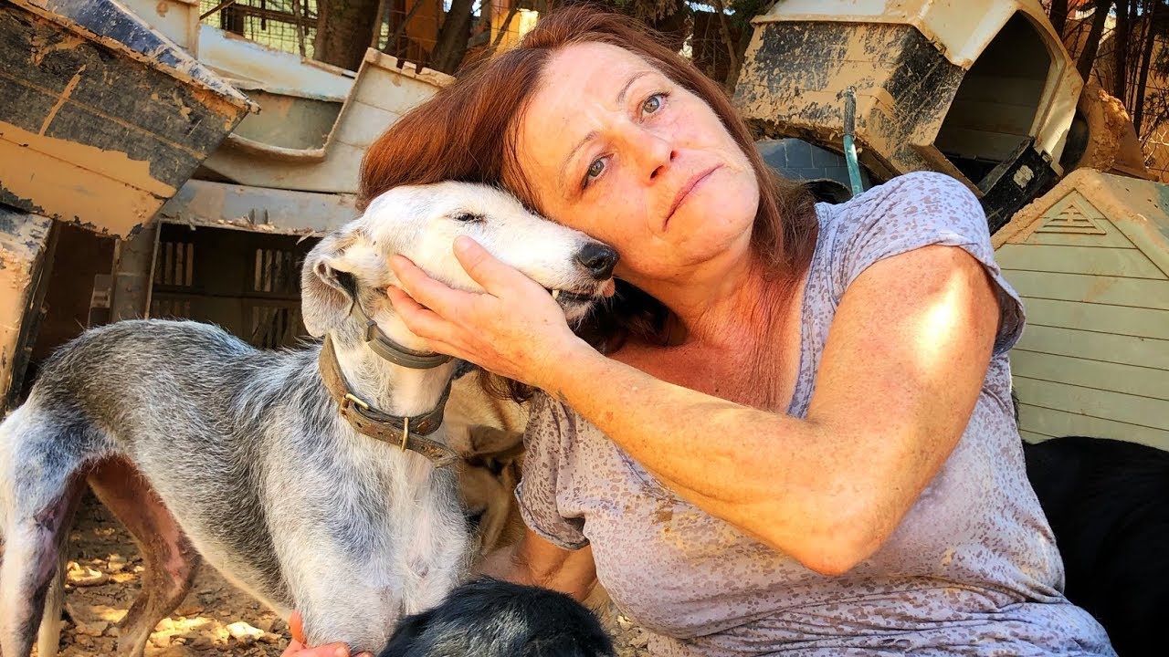 WOMAN RISKS HER LIFE TO SAVE HUNDREDS OF DOGS FROM THE FLOODS!!! - YouTube