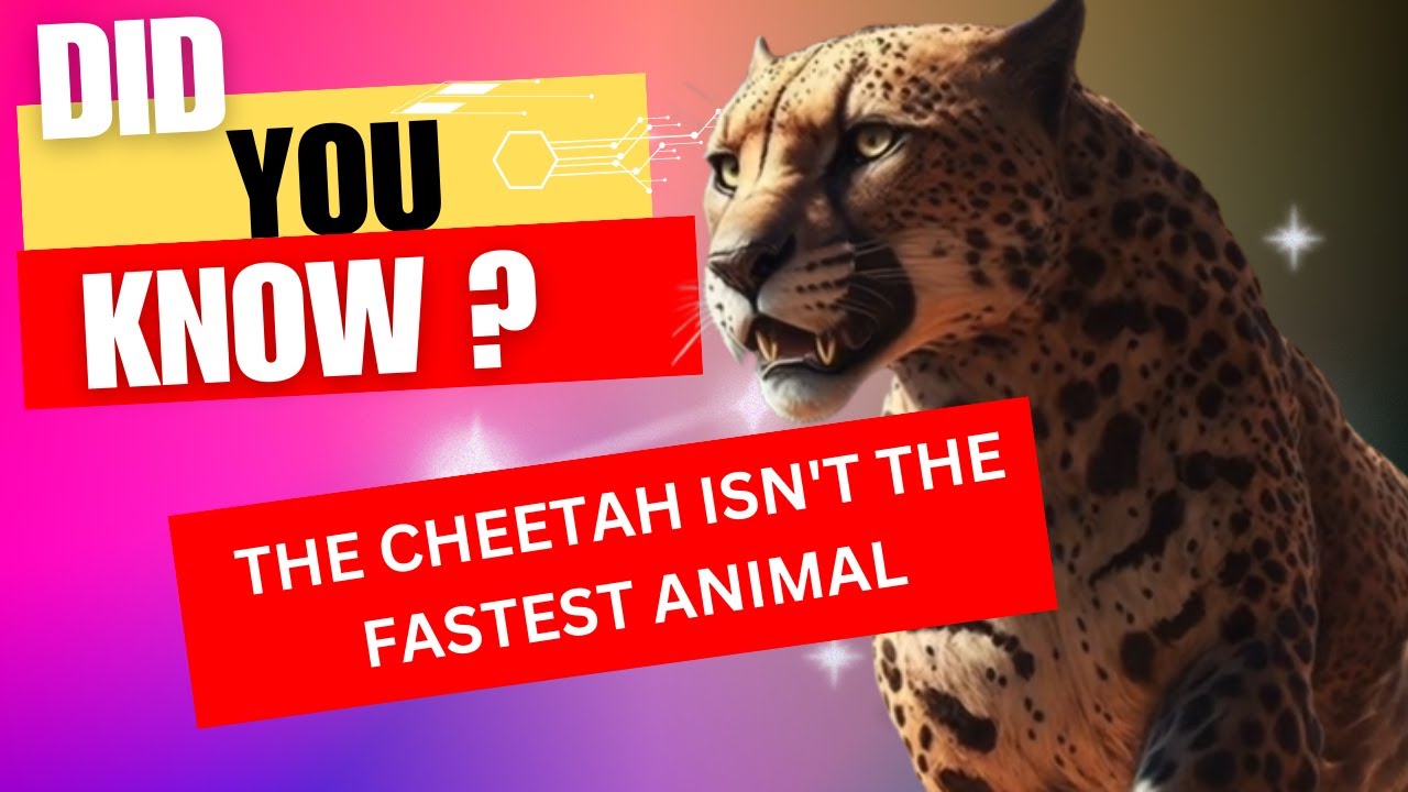 Useless Facts About Animals