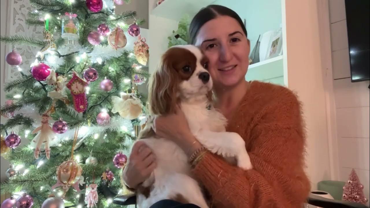 Vlogmas Day 9 Youtube