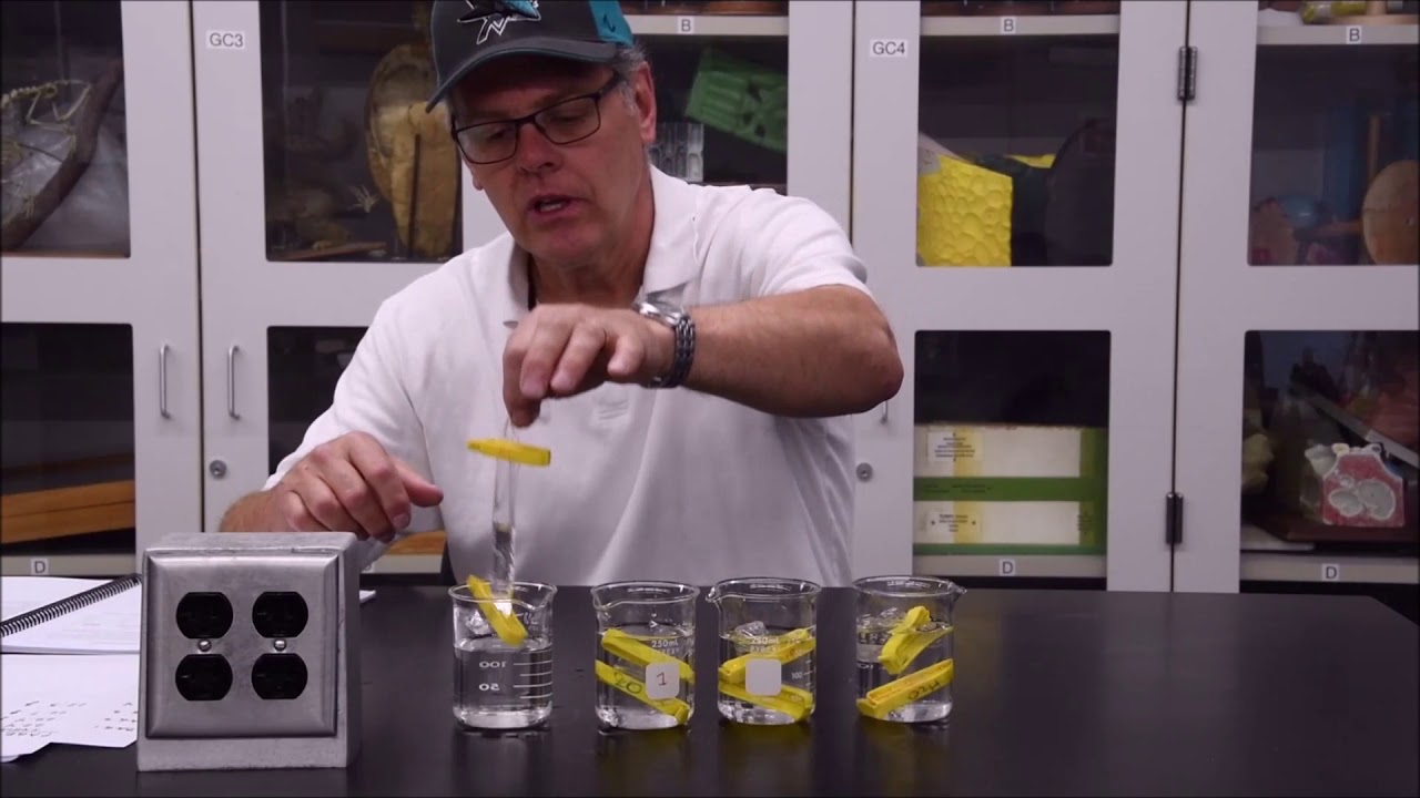 Osmosis Dialysis Experiment BIOSC 102 - YouTube