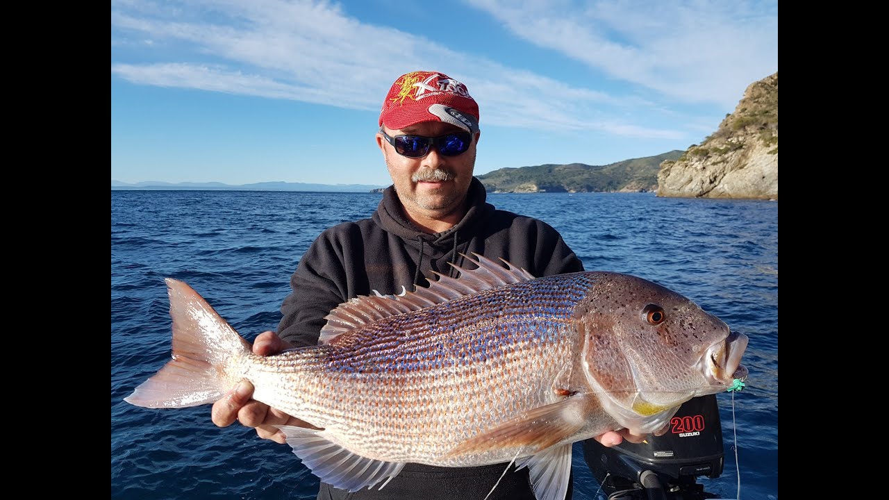 Fishing for Squid and Dentex in Winter - YouTube