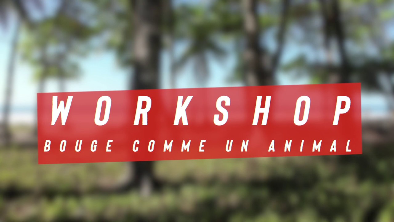Workshop : Bouge comme un animal - YouTube