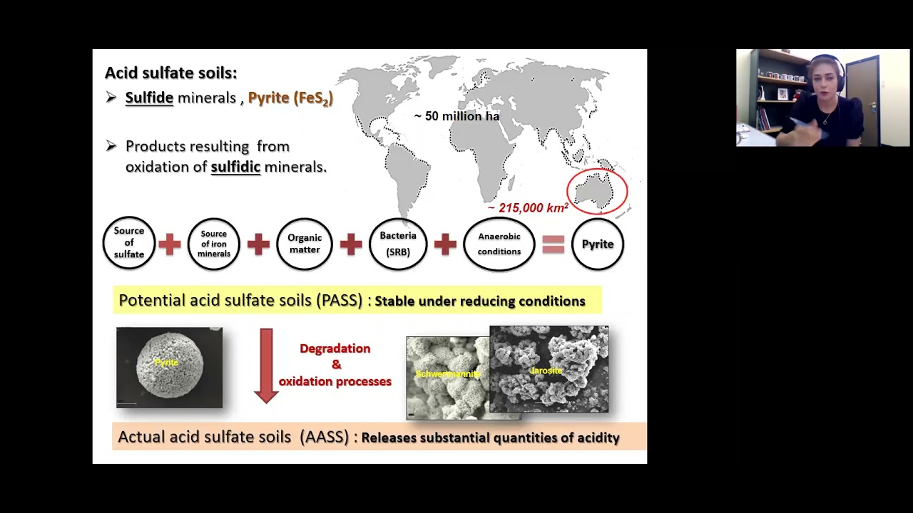 RSES Seminar Series 2020-11-26 Niloofar Karimian (Southern Cross ...