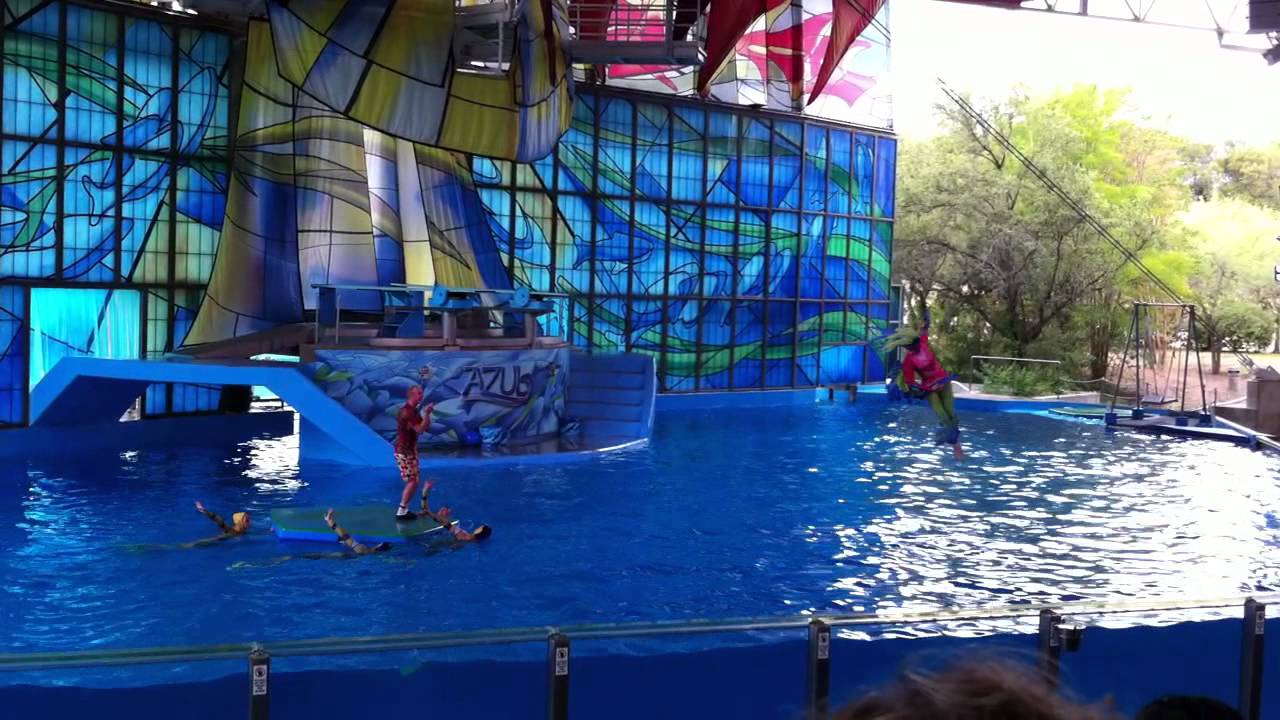 Seaworld San Antonio - Azul Show - YouTube