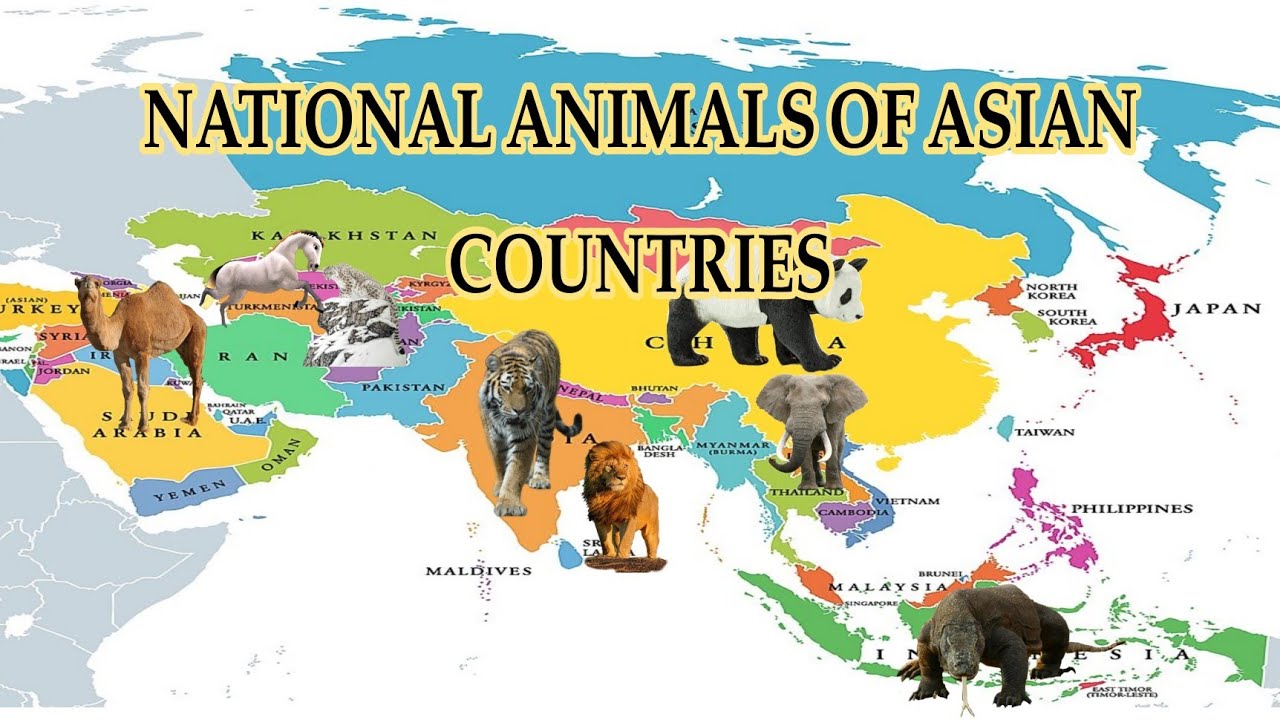 NATIONAL ANIMALS || National Animals of all Asian countries - YouTube