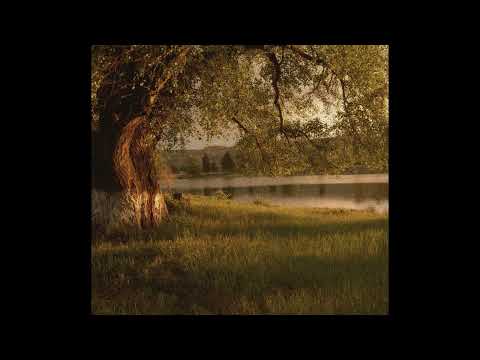 Wallace Collection - Daydream (slowed + reverb)