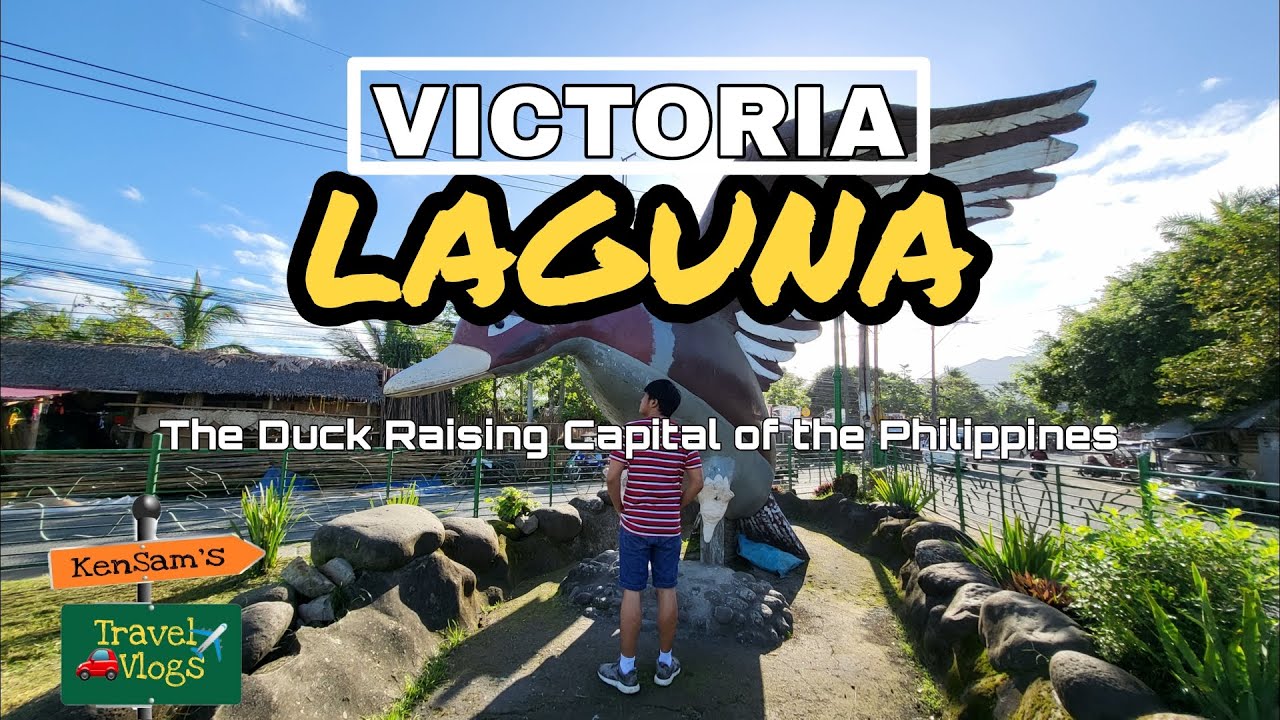 Duck Raising Capital of the Philippines! Victoria Laguna | kensamtv ...