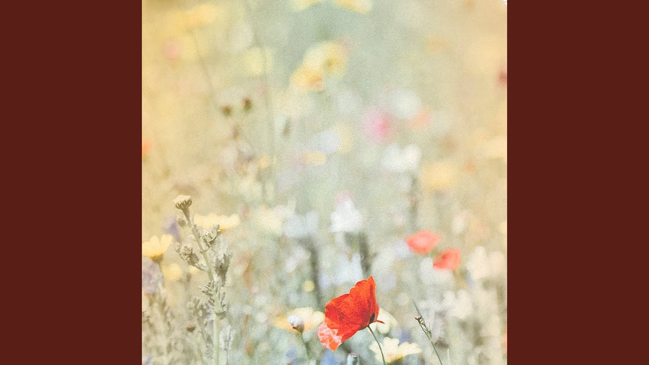 Settle Back Triumph - YouTube