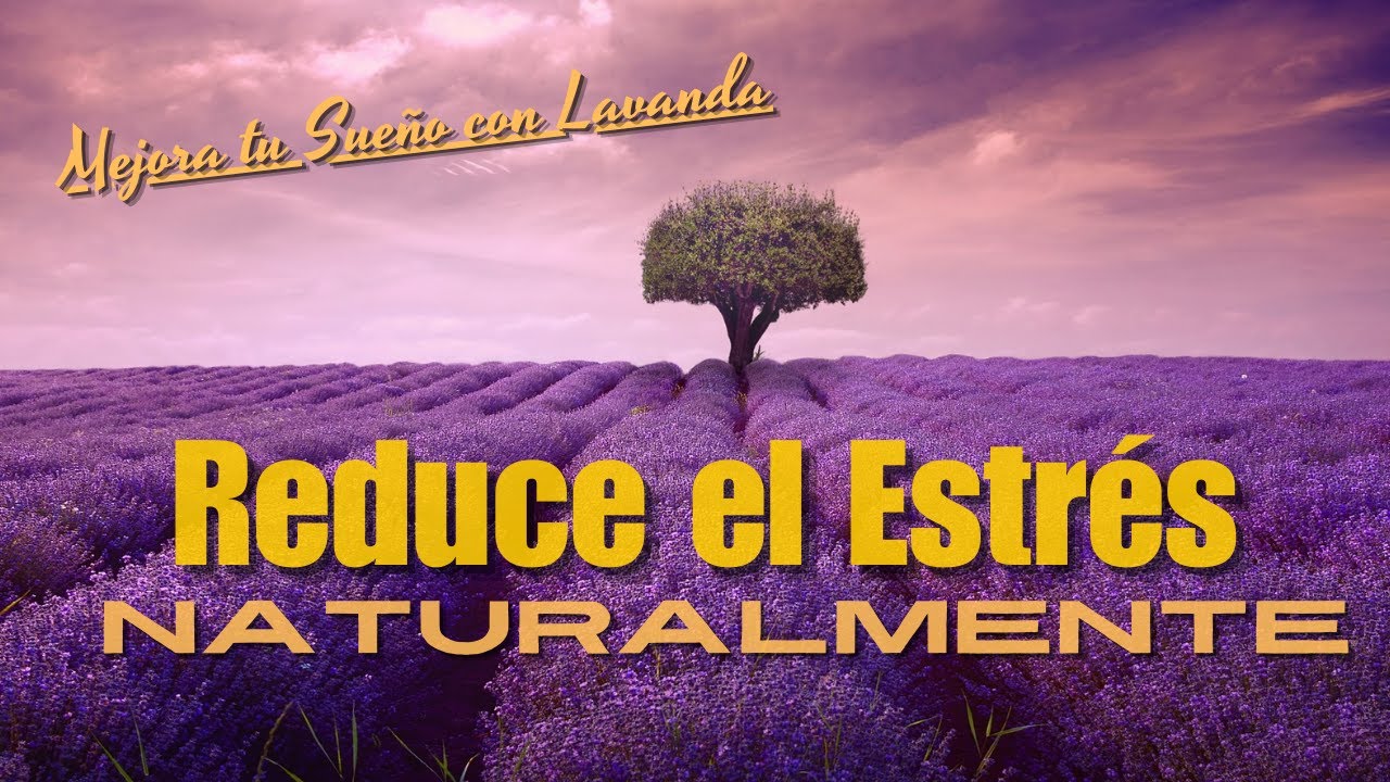 LAVANDA : El Secreto Natural para Reducir el Estrés, Ansiedad y Dormir ...