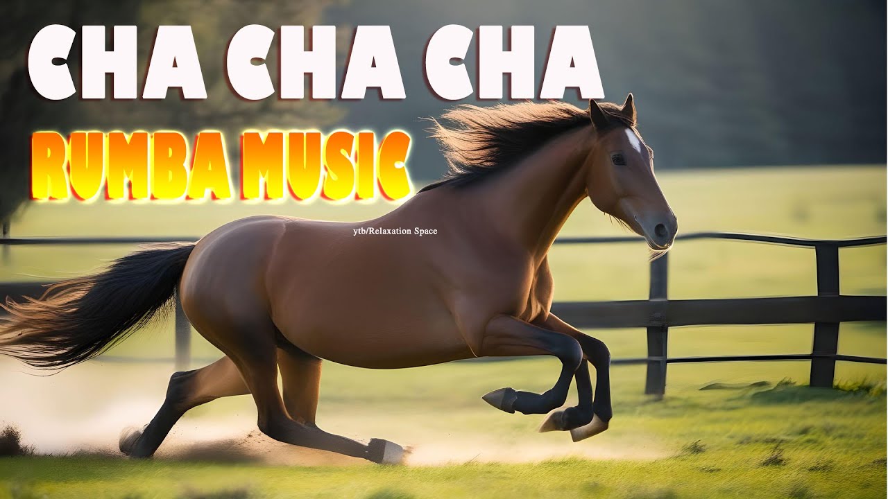 Cha Cha Cha / Samba / Mambo / Great Instrumental Music #1 - YouTube