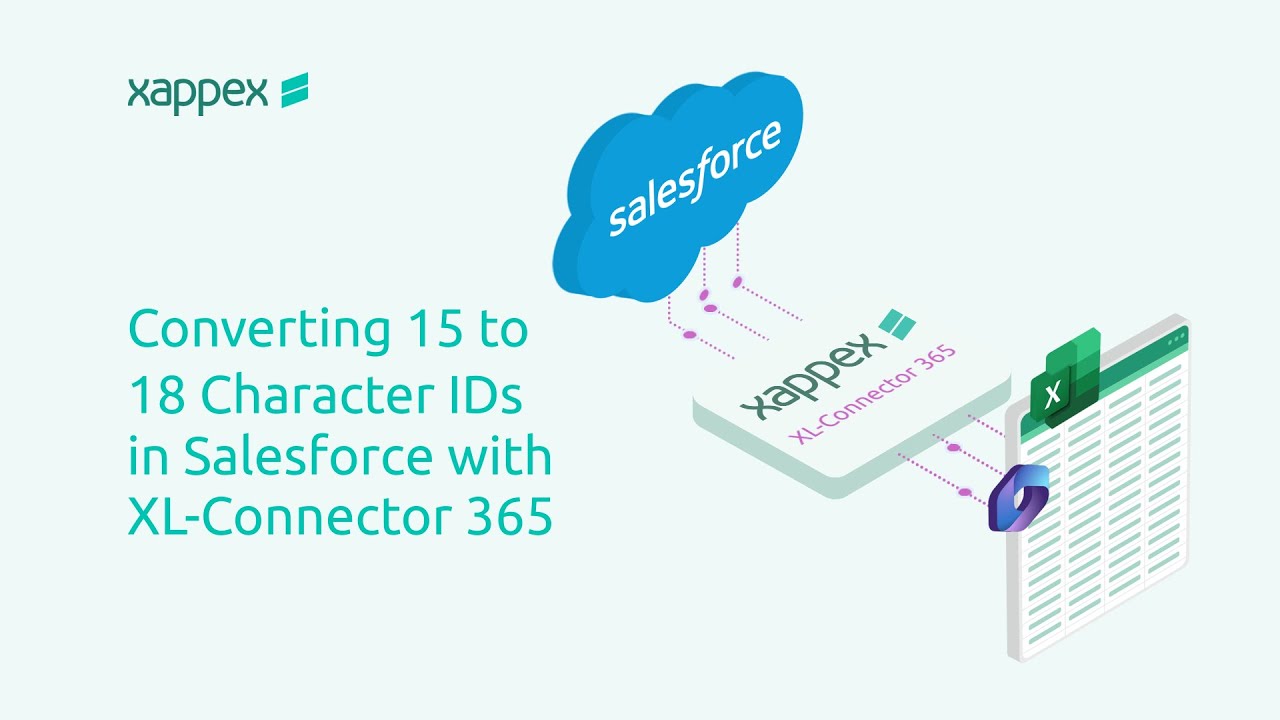 How to mass convert ID's in Salesforce from Excel with XL-Connector 365 ...