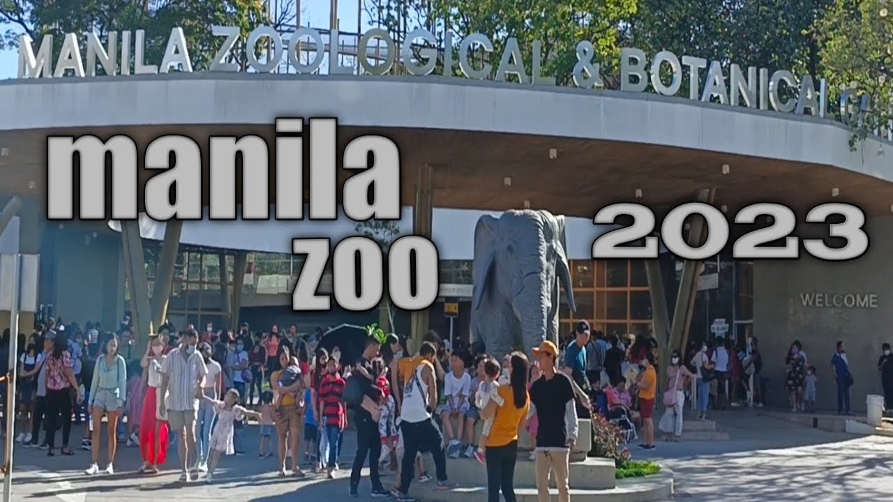 how to filled up QRCODE in manila zoo by @larrysjmvlog - YouTube