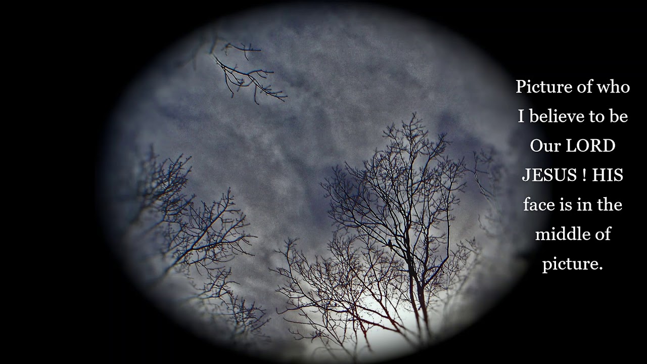 Pictures of Beings from the first HEAVEN above as shown to me through ...