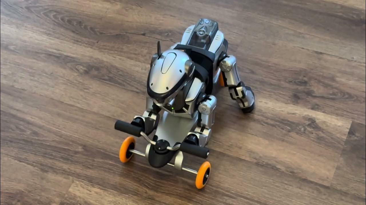 Aibo ERS-220 Fun on the Speedboard - YouTube