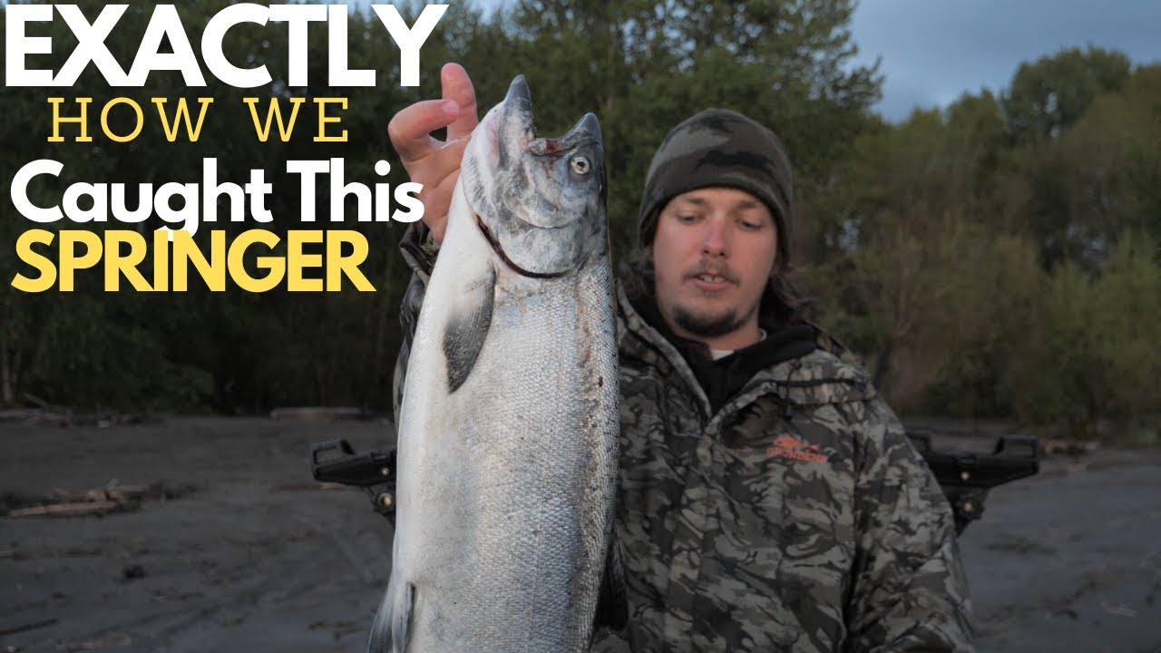 EXACTLY How We Caught This SPRINGER!! | Chinook Salmon Fishing | - YouTube