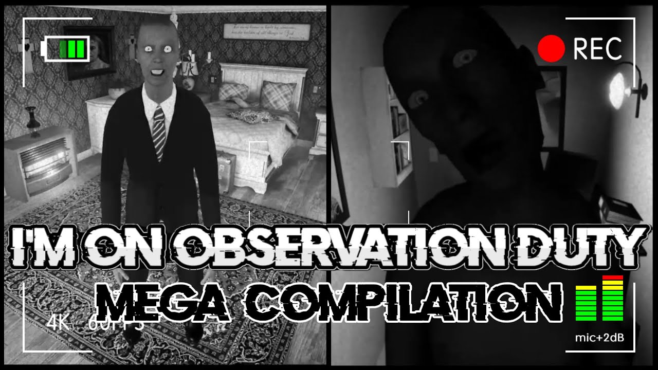 The Most Dangerous game of Spot the Difference | I'm on observation ...