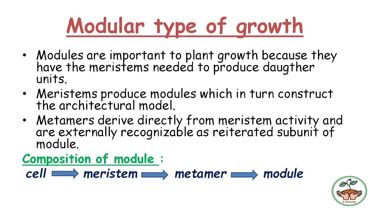 Basic body plan of flowering plant - YouTube
