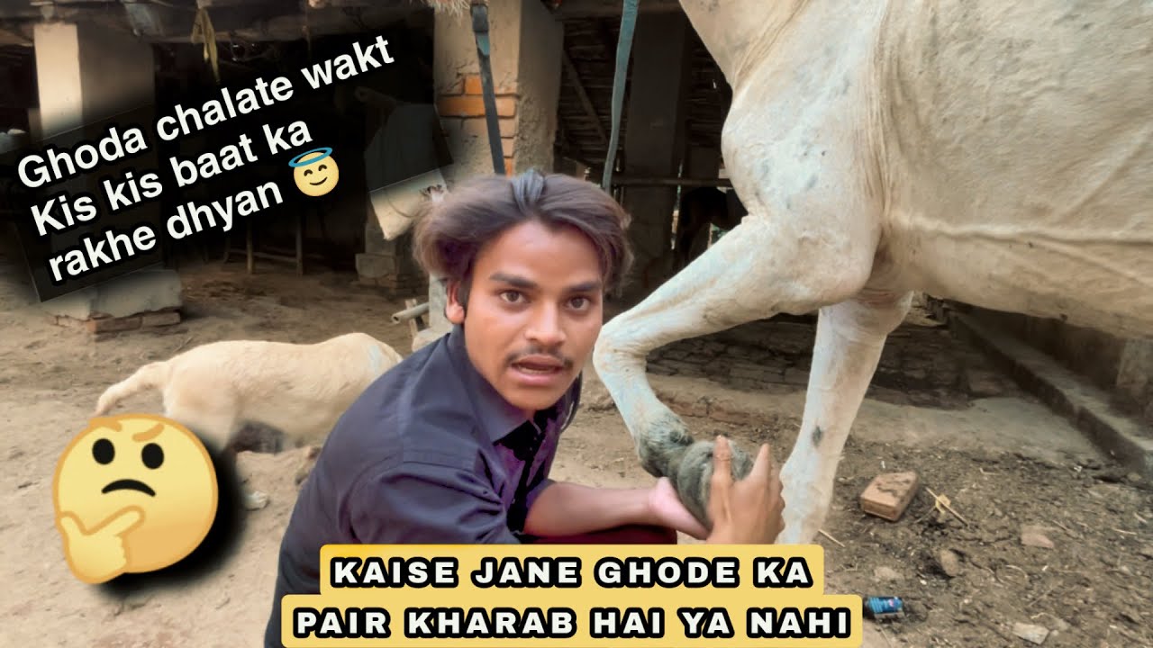 GHODA KA PAIR KHARAB HAI KAISE JANE🤔 | GHODA CHALATE WAKT RAKHE KIS ...