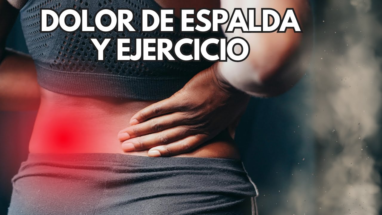 MÚSCULOS CLAVE EN EL DOLOR LUMBAR | MULTÍFIDOS - YouTube