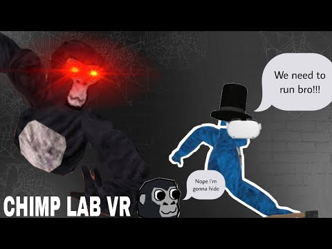 CHIMP LAB VR - YouTube