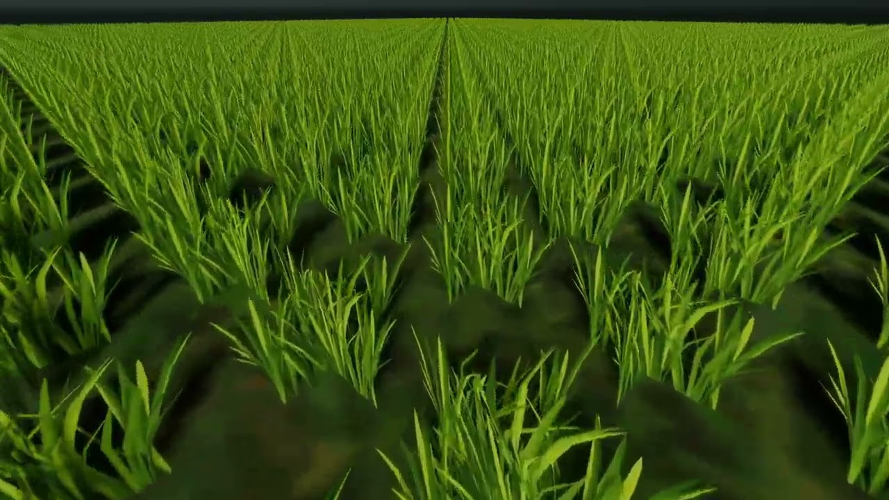 Unity 3d Interactive Grass Shader Hdrp Youtube