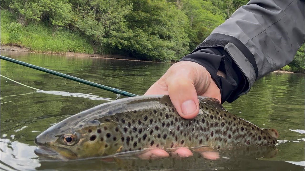 River Clyde fishing action - YouTube
