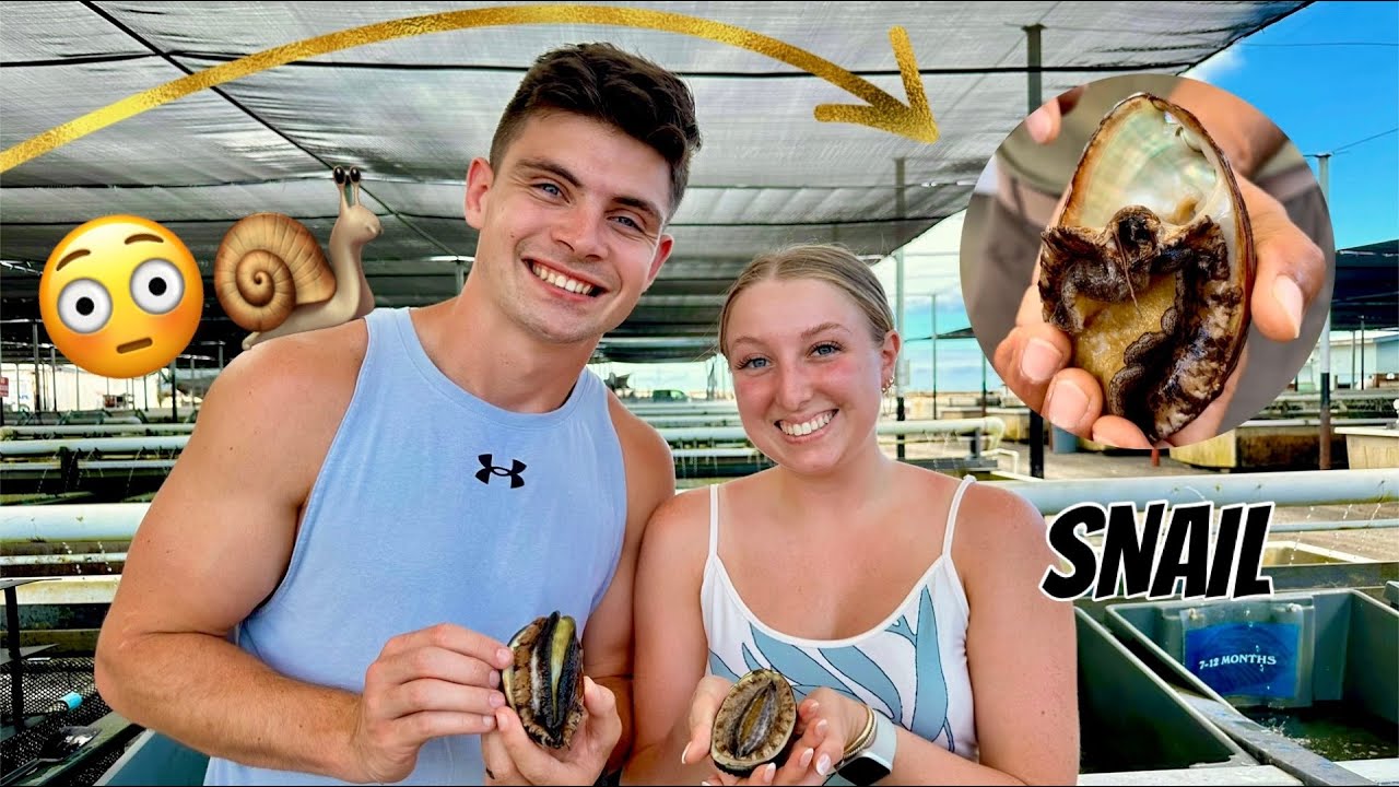 WE ATE A CULINARY DELICACY *ABALONE FARM TOUR* - YouTube