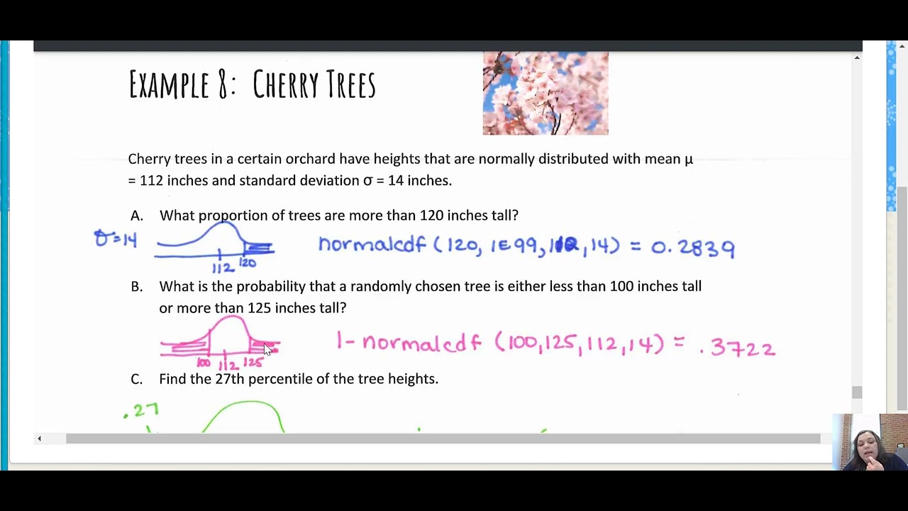 Rguroo Normal Distribution Normalcdf and InvNorm alternative - YouTube