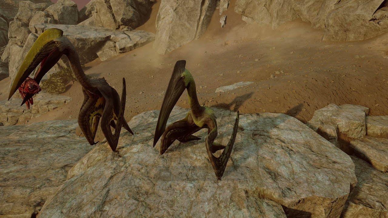 Hatz (Hatzegopteryx) (DUO) takes care of BIG Allo at BTC/SM (Part1 ...
