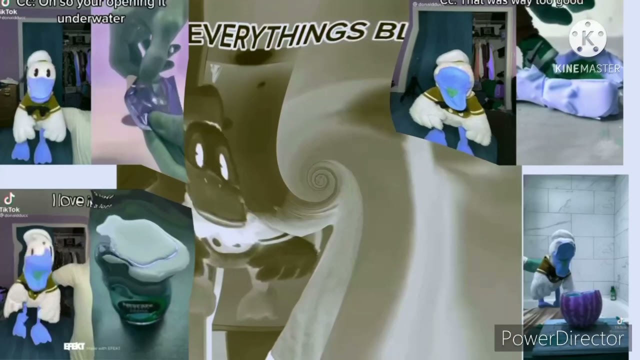 Preview 2 Donald Ducc Effects Round 1 vs Everyone - YouTube