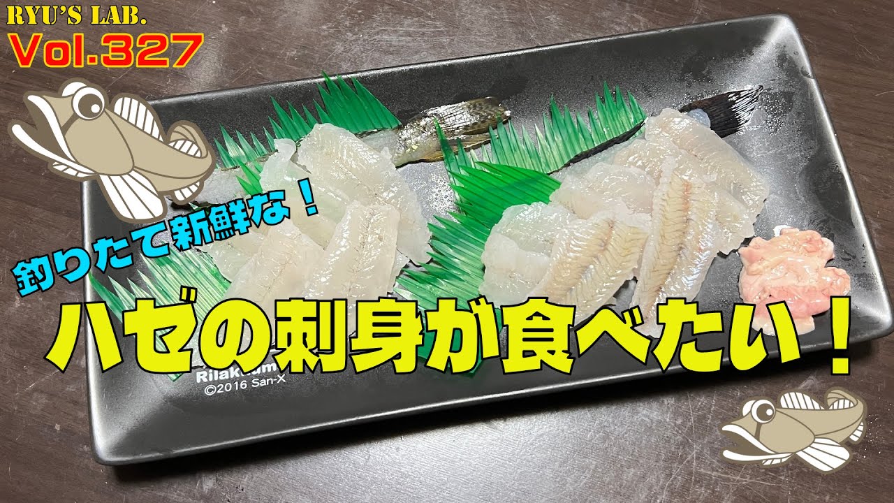 【ハゼ釣り】釣りたてのハゼの刺身が食べたい！ Ryu’s Lab. 第327弾 #ハゼ釣り #内房 #ryuslab - YouTube