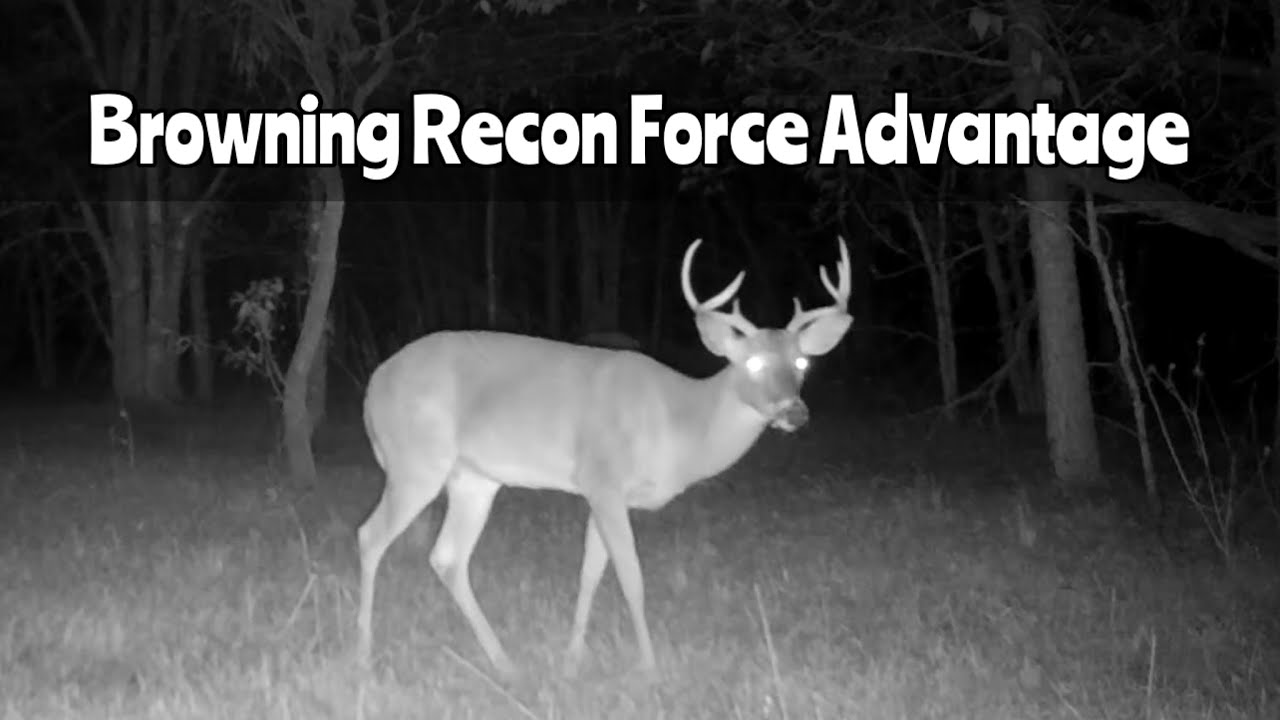 Browning Recon Force Advantage Trail Camera Nov. 3-10, 2023 - YouTube