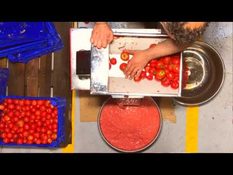 YAŞ MEYVE ve SEBZE SIKMA MAKİNASI (KISA)/ SQUEEZING MACHINES (SHORT)
