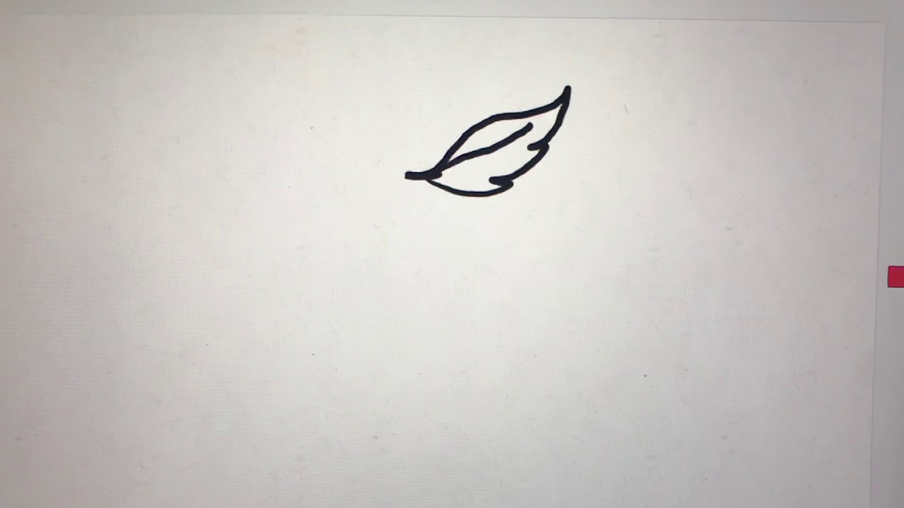 Falling feather animation - YouTube